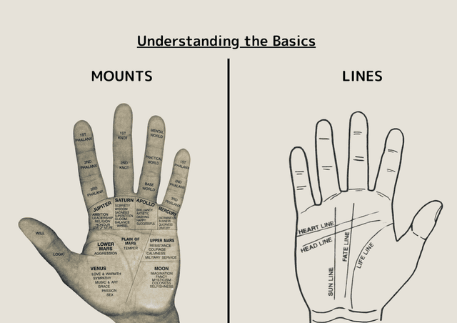 Palmistry in Hindi: जानिए हथेली क्या बताती है | Palmyst